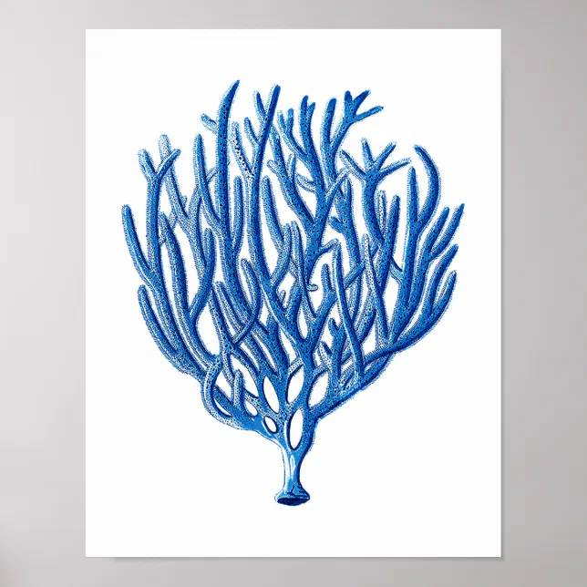 Blue Sea Coral Print #1 Beach Wall Art | Zazzle