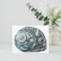 Blue Sea Shell Postcard | Zazzle