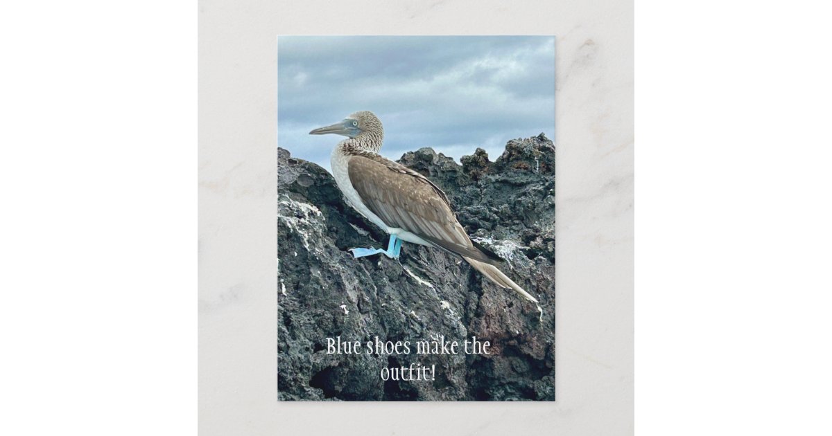 Blue Shoes Bird Postcard | Zazzle