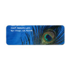 Blue Single Peacock Feather Label | Zazzle