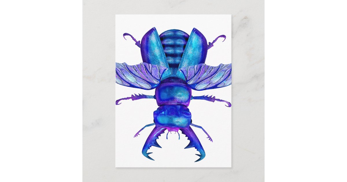 Blue Stag Beetle Postcard | Zazzle