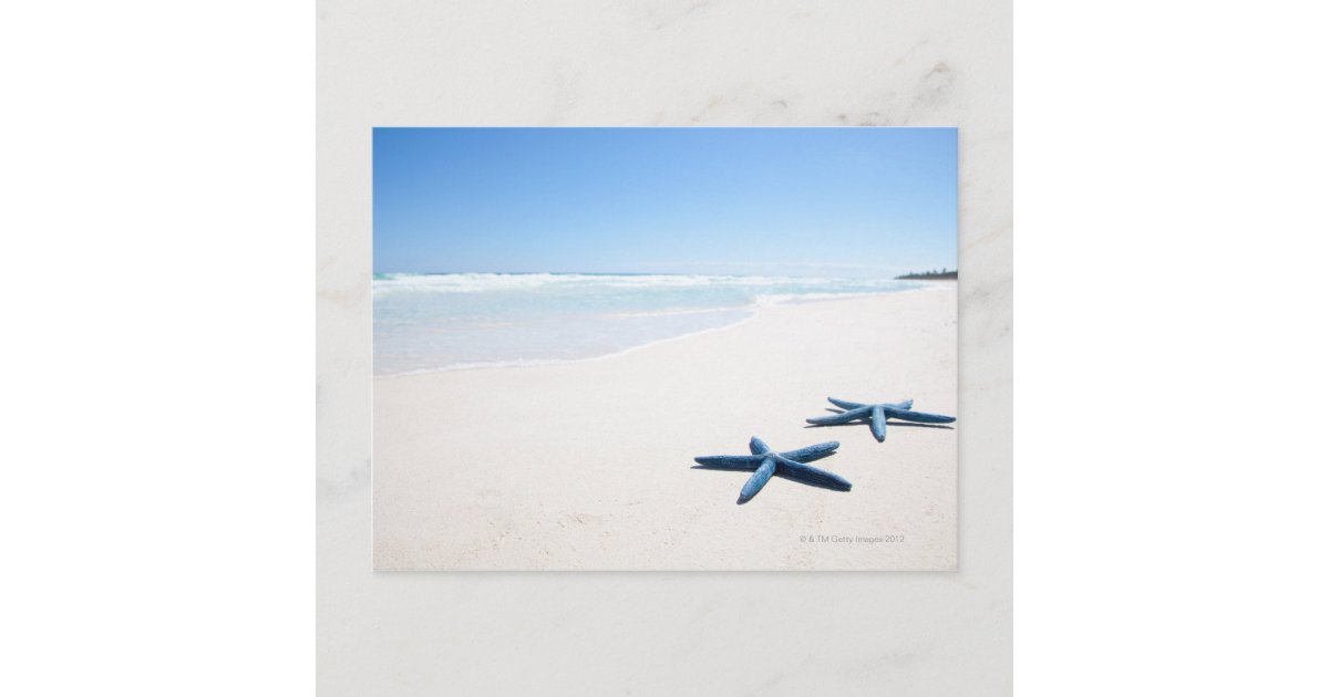 Blue Starfish Postcard | Zazzle