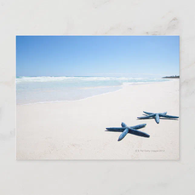 Blue Starfish Postcard | Zazzle