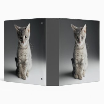 Blue Tabby Kitten 3 Ring Binder | Zazzle