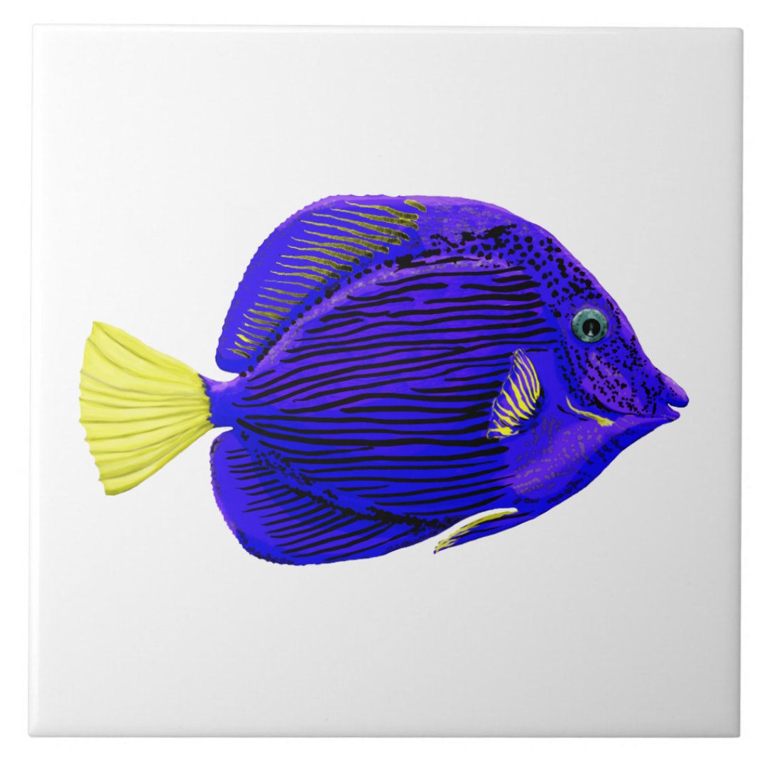 Blue tang fish ceramic tile | Zazzle
