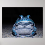 Blue Toad Poster | Zazzle