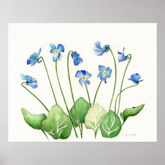 Blue Violets Poster Print | Zazzle.com