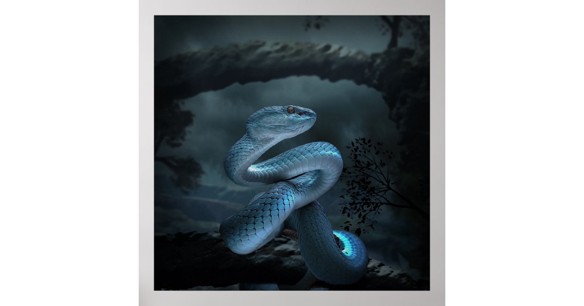Blue Viper Snake Digital Art Poster | Zazzle