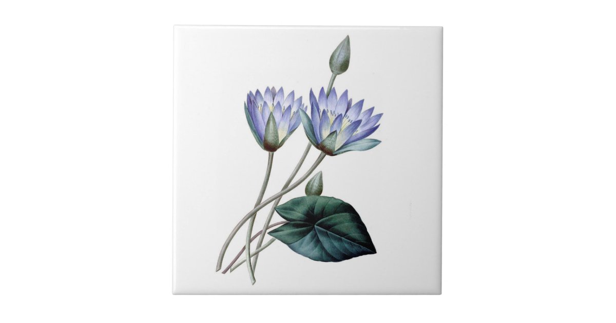 Blue Water Lilies Tile | Zazzle