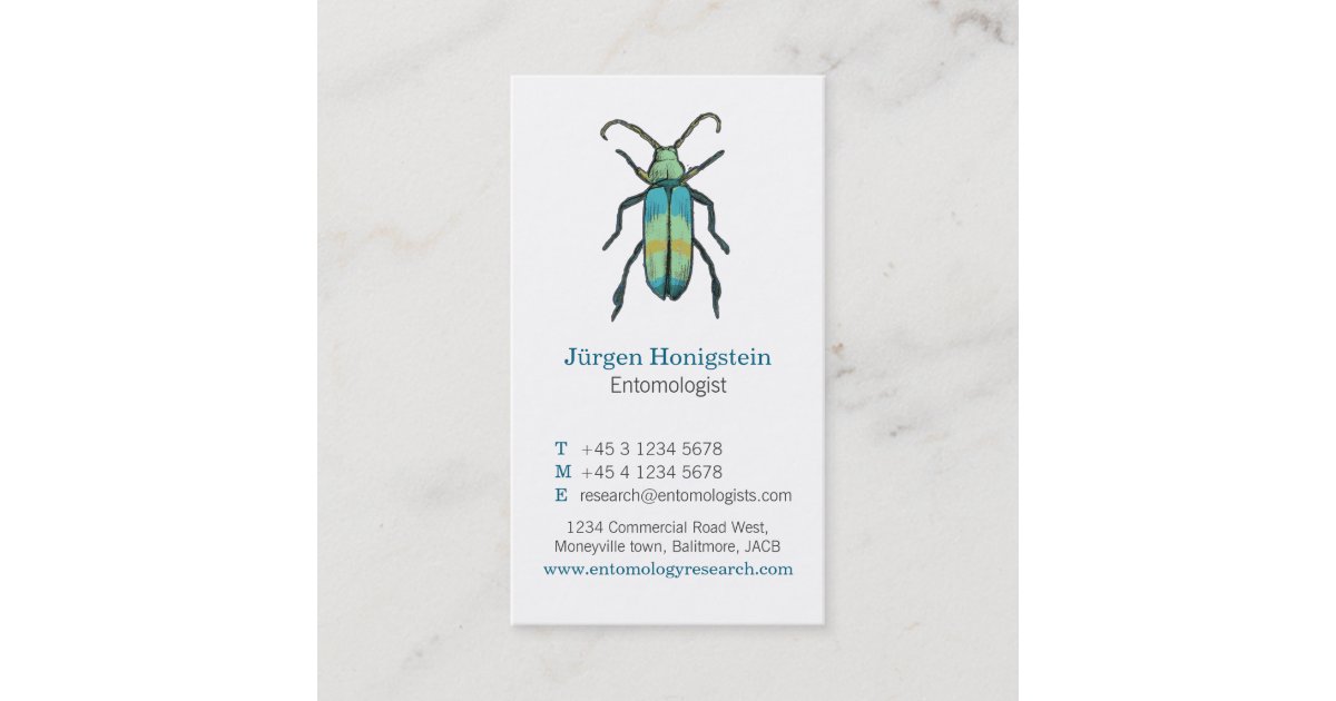 Blue & white entomologists insect business card | Zazzle