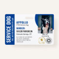 Blue White Service Dog 2 Logos & Photo ID Badge | Zazzle