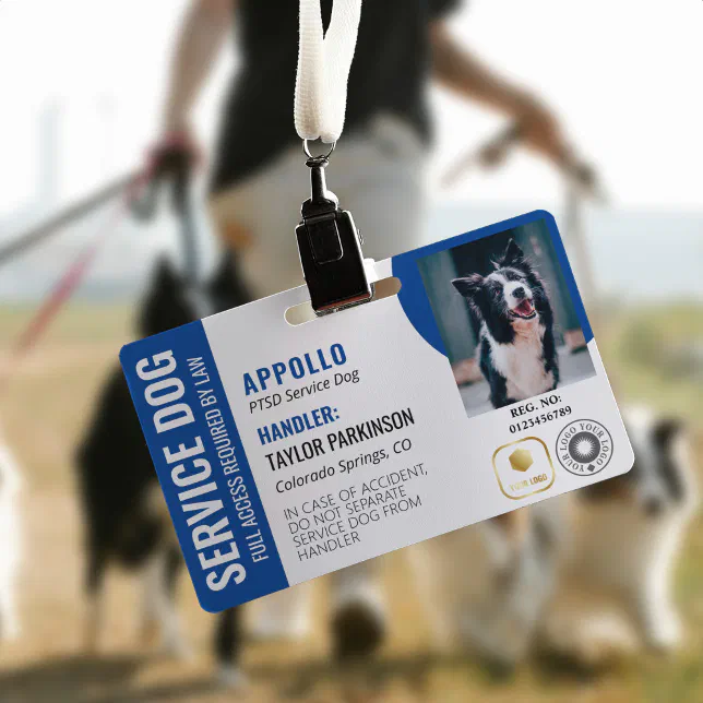 Blue White Service Dog 2 Logos & Photo ID Badge | Zazzle