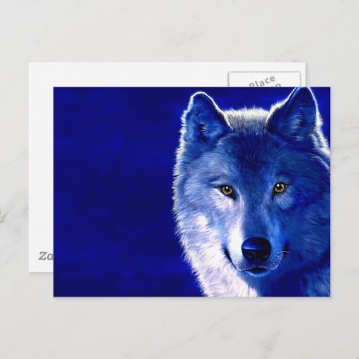 Blue Wolf Postcard | Zazzle