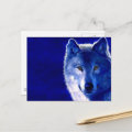 Blue Wolf Postcard | Zazzle