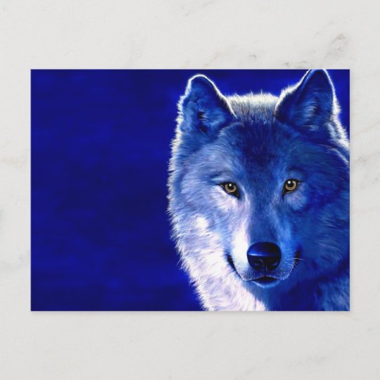 Blue Wolf Postcard | Zazzle.com