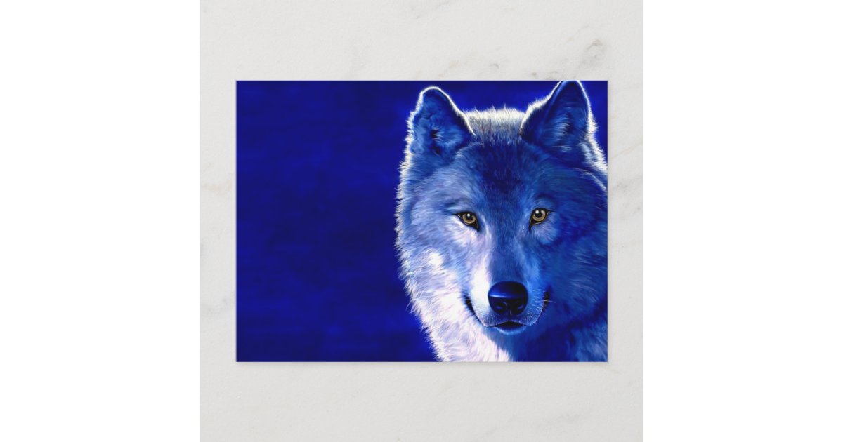 Blue Wolf Postcard | Zazzle