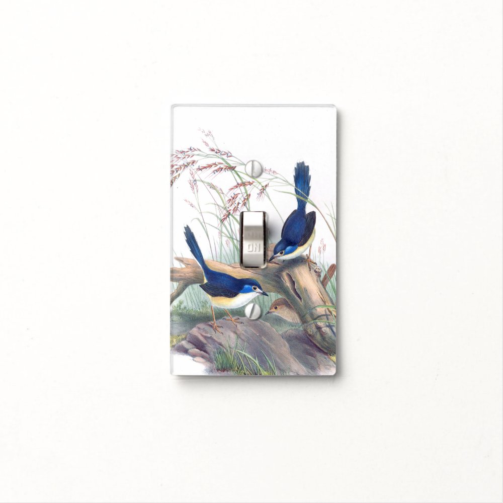 Blue Wren Birds Wildlife Flowers Floral Light Switch Cover Single ...