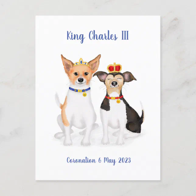 Bluebell & Beth Jack Russells Coronation postcard | Zazzle
