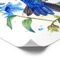 Bluebells Hummingbird Watercolor Print | Zazzle