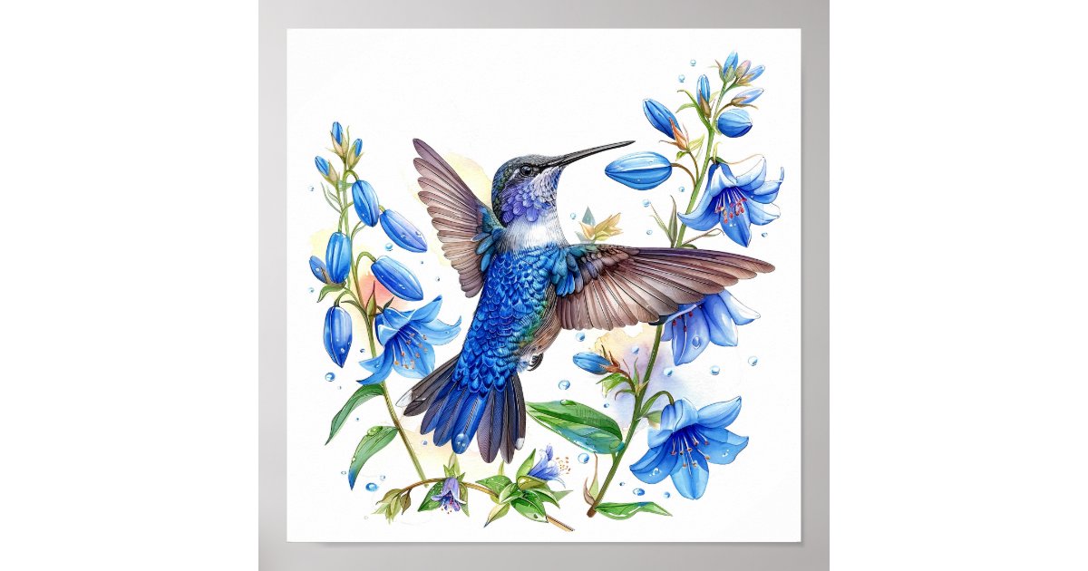 Bluebells Hummingbird Watercolor Print | Zazzle