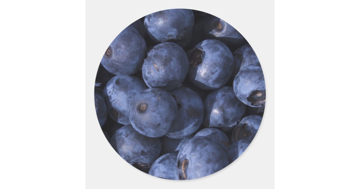 Blueberries! Classic Round Sticker | Zazzle