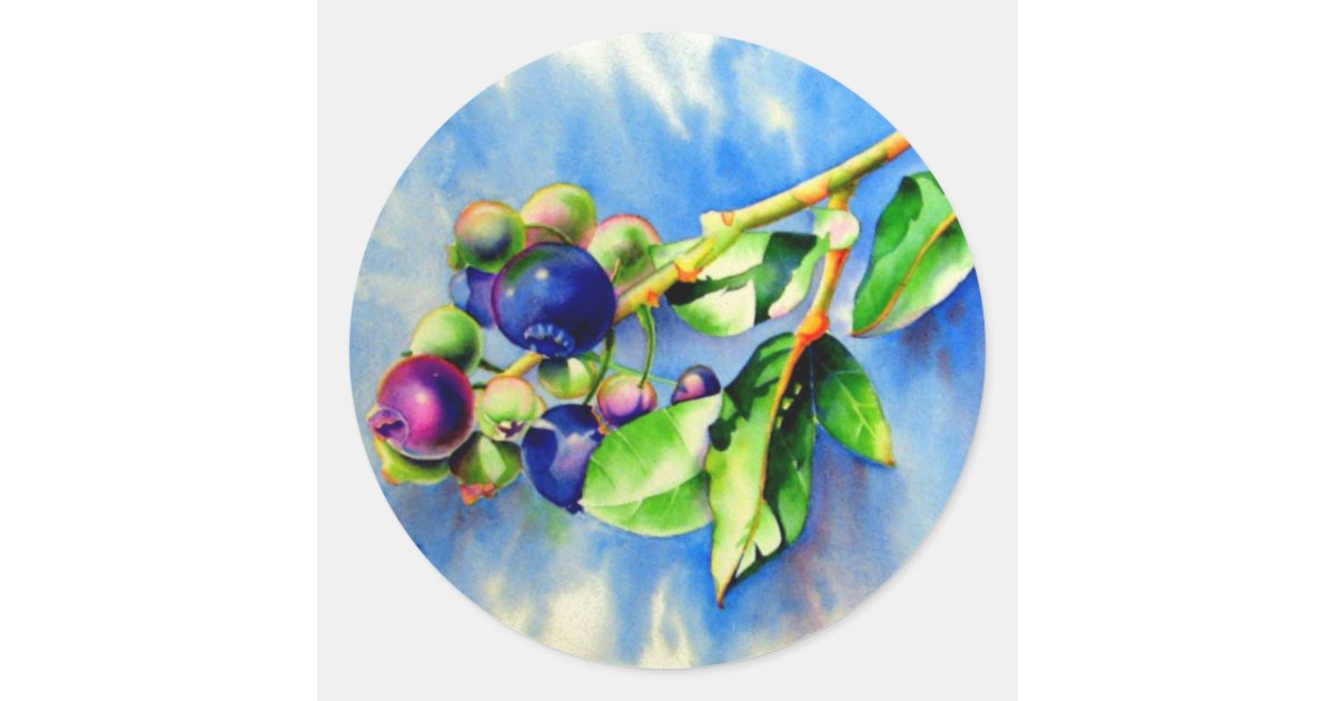 Blueberries classic round sticker | Zazzle