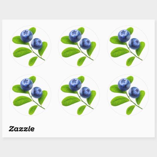 Blueberries Classic Round Sticker | Zazzle