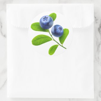 Blueberries Classic Round Sticker | Zazzle