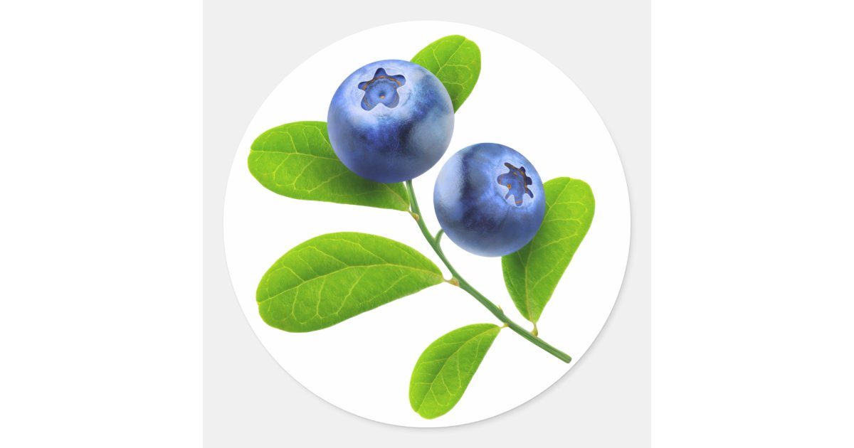 Blueberries Classic Round Sticker | Zazzle