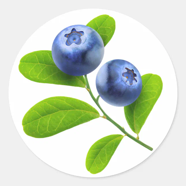 Blueberries Classic Round Sticker | Zazzle