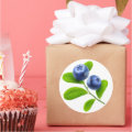 Blueberries Classic Round Sticker | Zazzle