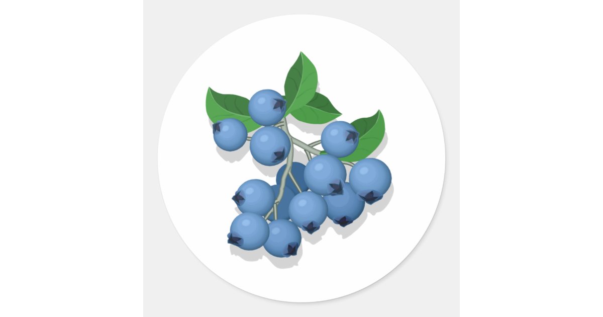 Blueberries Classic Round Sticker | Zazzle