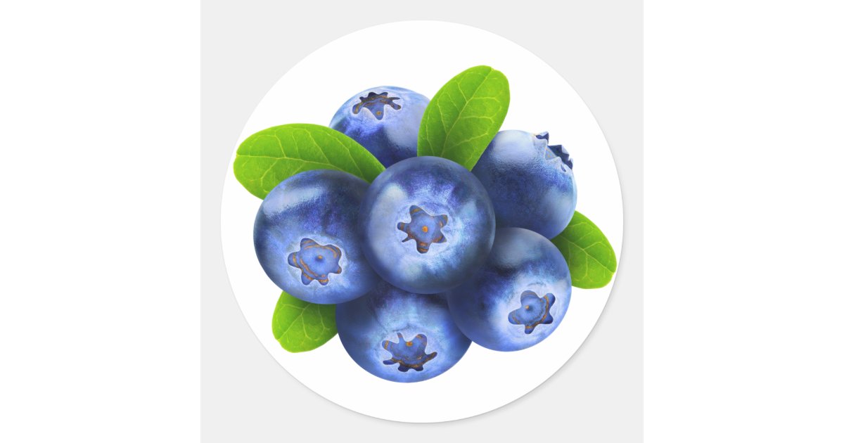 Blueberries Classic Round Sticker | Zazzle