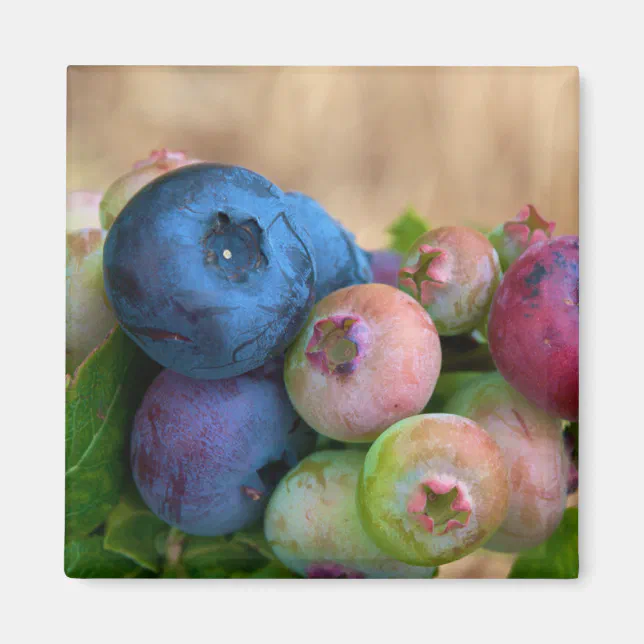 Blueberries Magnet | Zazzle