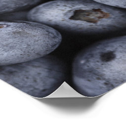Blueberries Poster | Zazzle