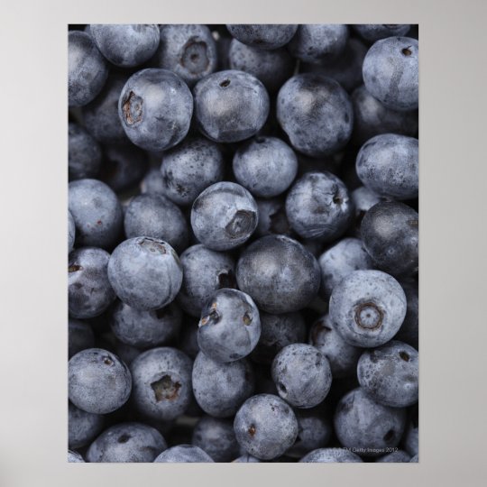 Blueberries Poster | Zazzle.com