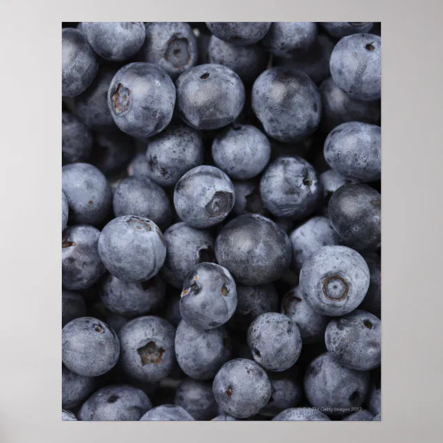 Blueberries Poster | Zazzle