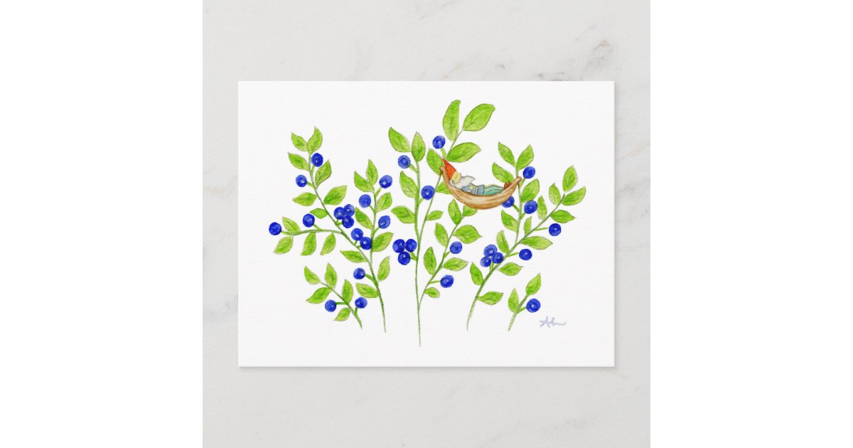 Blueberry Bush Gnome postcard | Zazzle