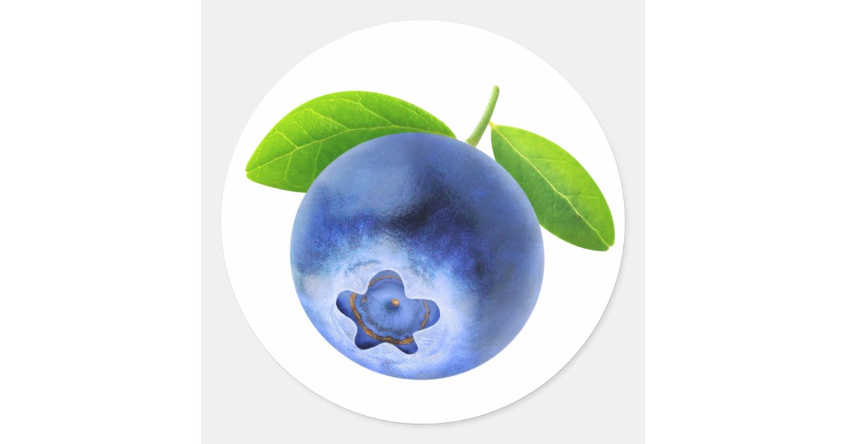 Blueberry Classic Round Sticker | Zazzle