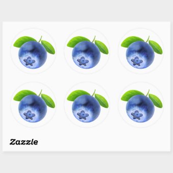 Blueberry Classic Round Sticker | Zazzle