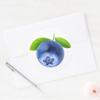 Blueberry Classic Round Sticker | Zazzle