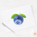Blueberry Classic Round Sticker | Zazzle