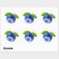 Blueberry Classic Round Sticker | Zazzle