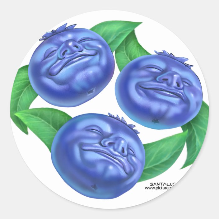 blueberry classic round sticker | Zazzle.com