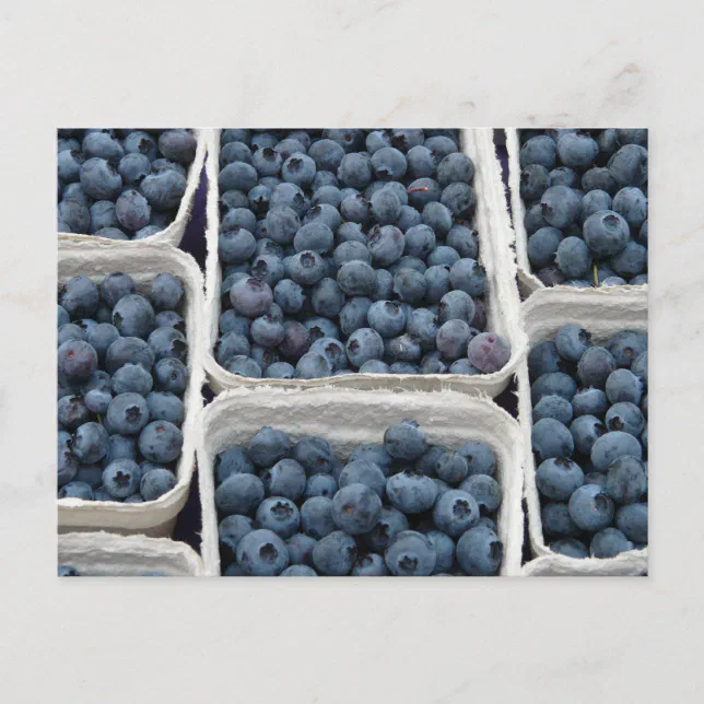 Blueberry Crates Postcard | Zazzle