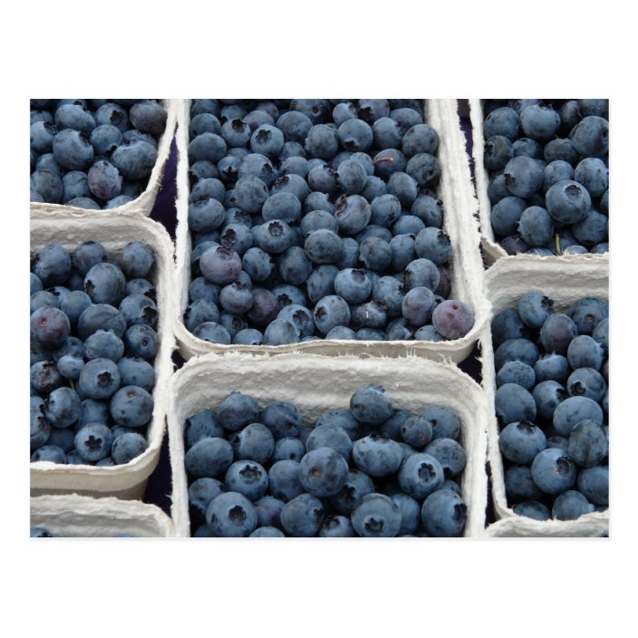 Blueberry Crates Postcard | Zazzle.com