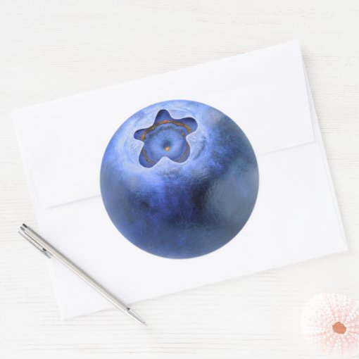 Blueberry macro classic round sticker | Zazzle