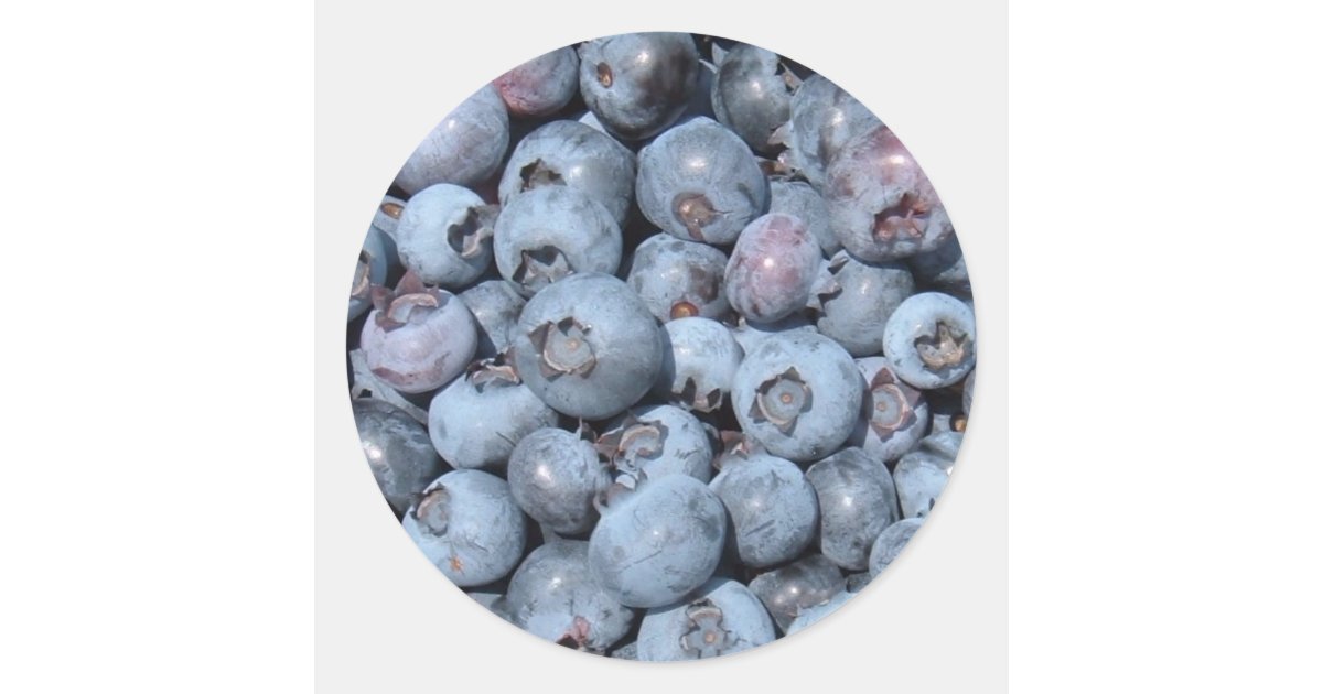 Blueberry Stickers | Zazzle.com