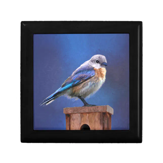 Bluebird (Female) Painting - Original Bird Art Gift Box | Zazzle