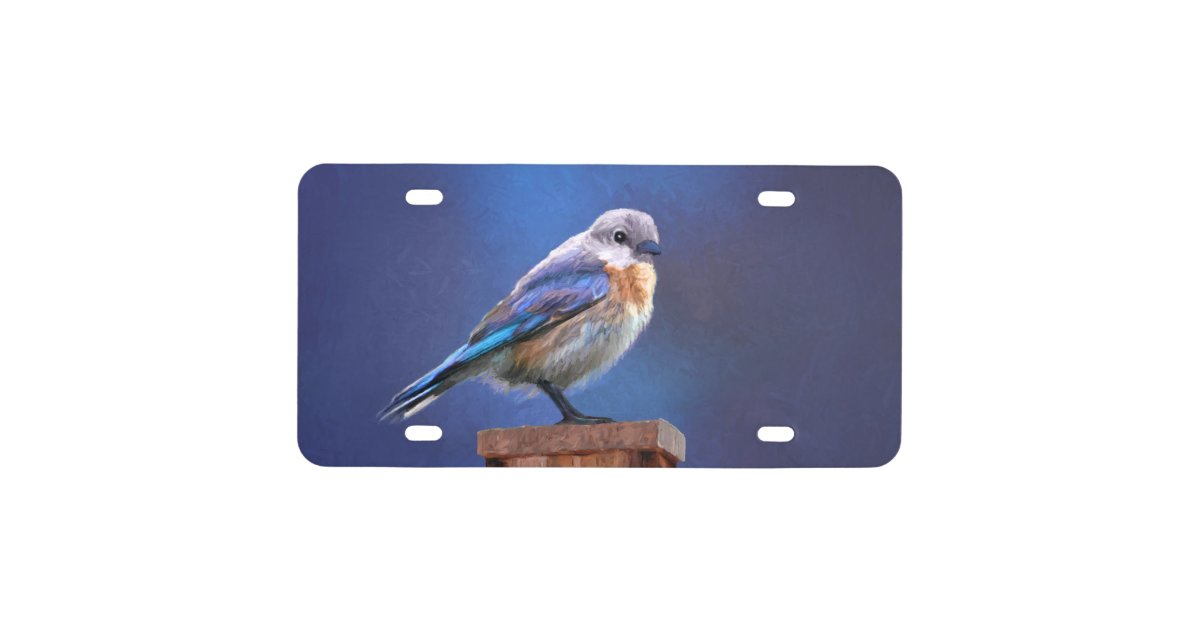 Bluebird (Female) Painting - Original Bird Art License Plate | Zazzle